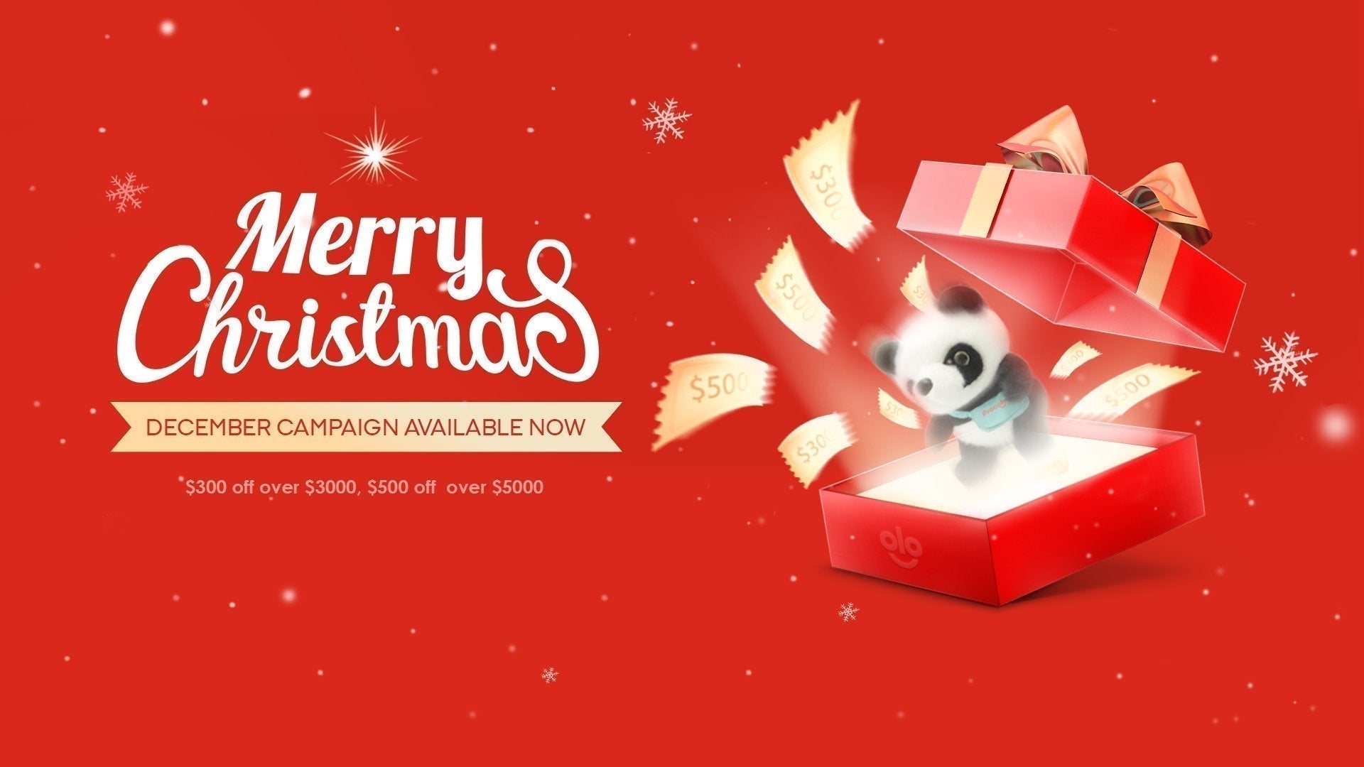 Meet Procolored December Campaign!