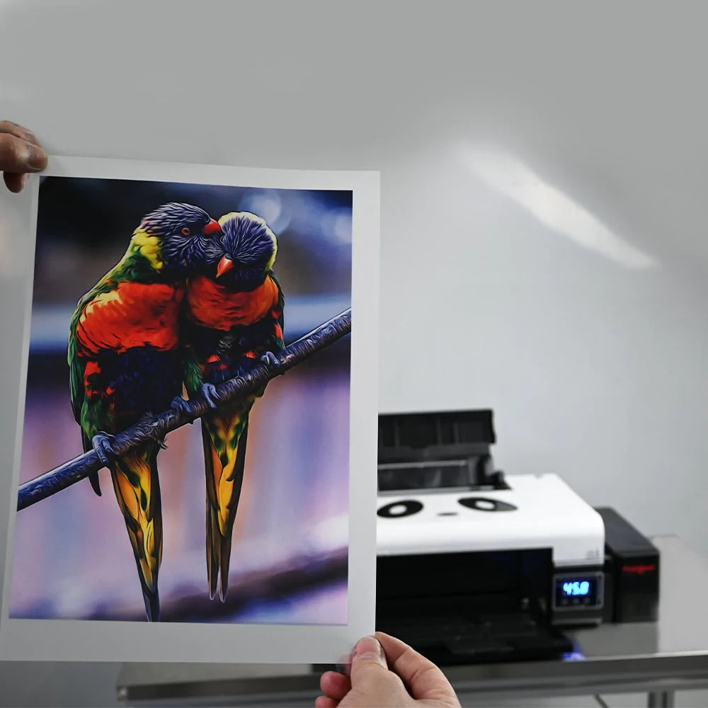 8.2" Single Head A4 DTF Printer L800 Roller Panda Gen-2 & Oven – Procolored